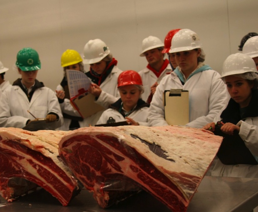 Texas 4-H Meat Judging Rules & Guidelines - 4-H Meat Judging