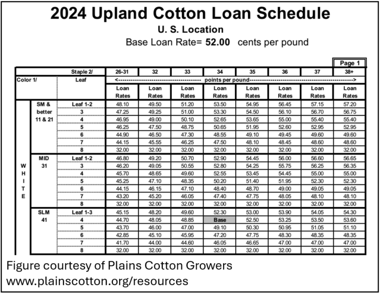 Understanding the Relationship Between Cotton Classing and Cotton ...