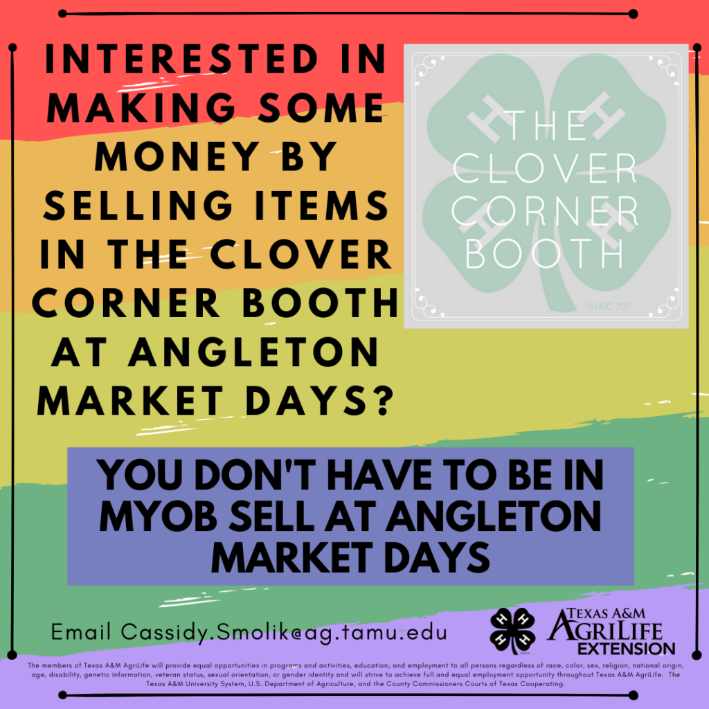 Youth Entrepreneurship - Brazoria County 4-H