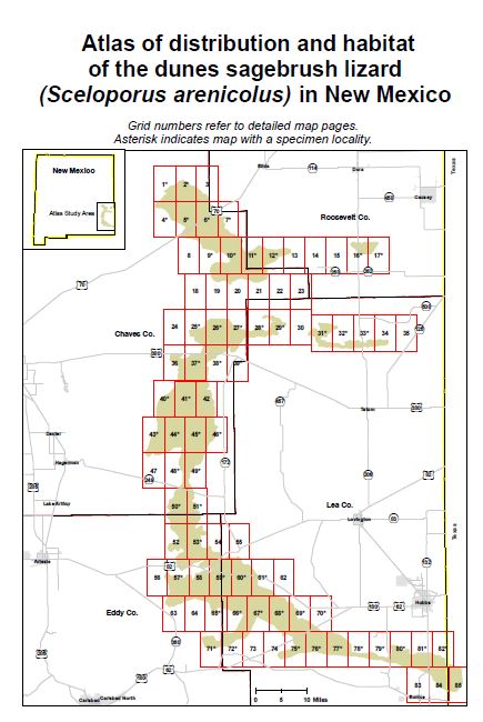 Dunes Sagebrush Lizard Research Program Summary and Publications - The ...