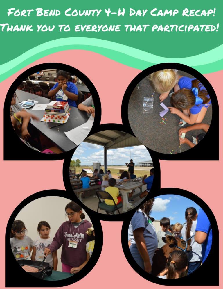 Fort Bend 4-H | "To Make the Best Better"