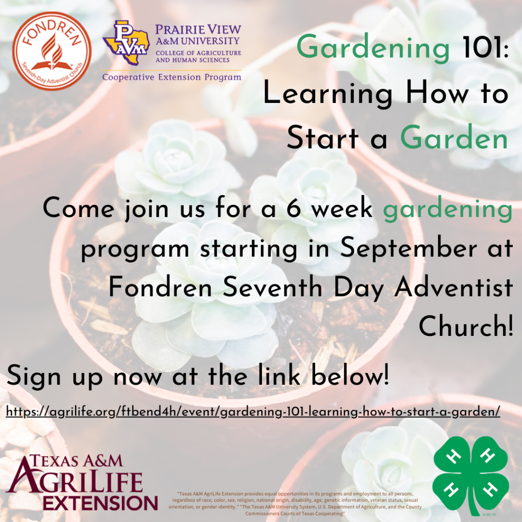 Gardening 101: Learning How to Start a Garden - Fort Bend 4-H