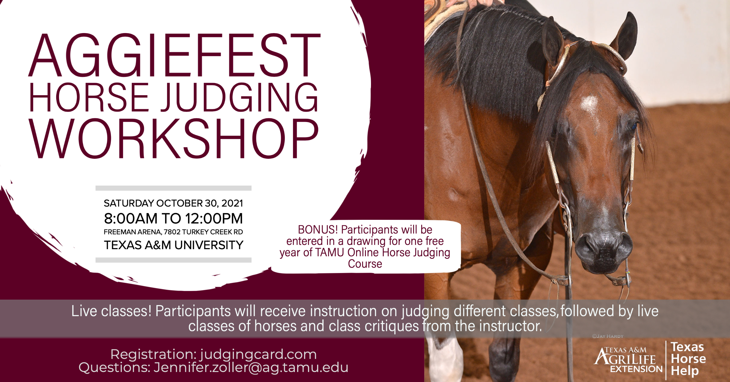 Aggiefest Horse Judging Workshop - Fort Bend 4-H