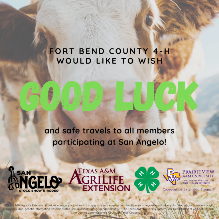 - Fort Bend 4-H