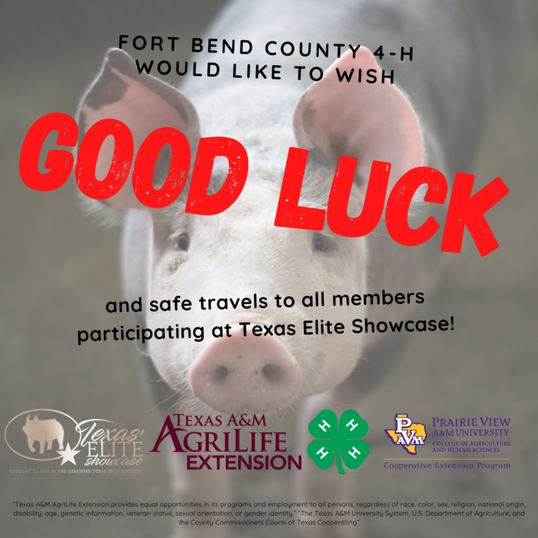 - Fort Bend 4-H
