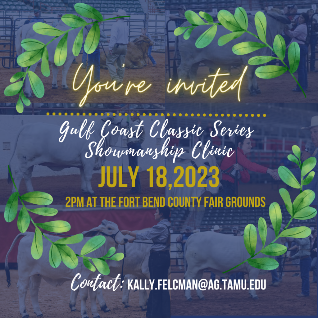 Gulf Coast Classic Series – Showmanship Clinic