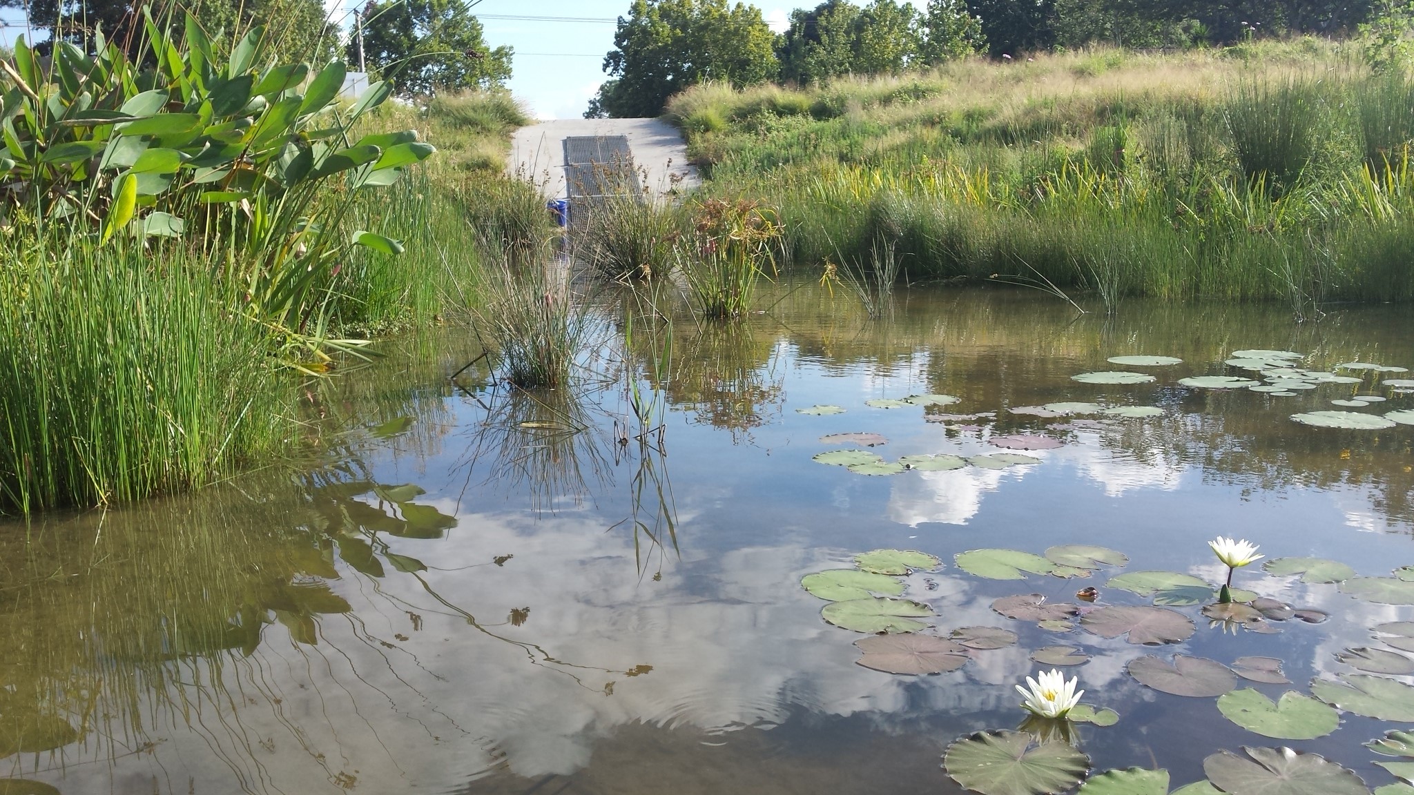 Site-Scale Green Infrastructure - Green Infrastructure For Texas