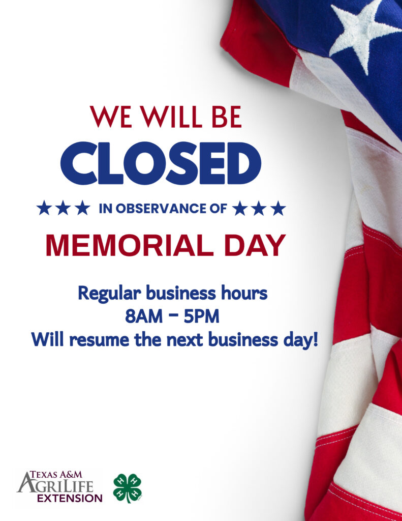Memorial Day Office Closed