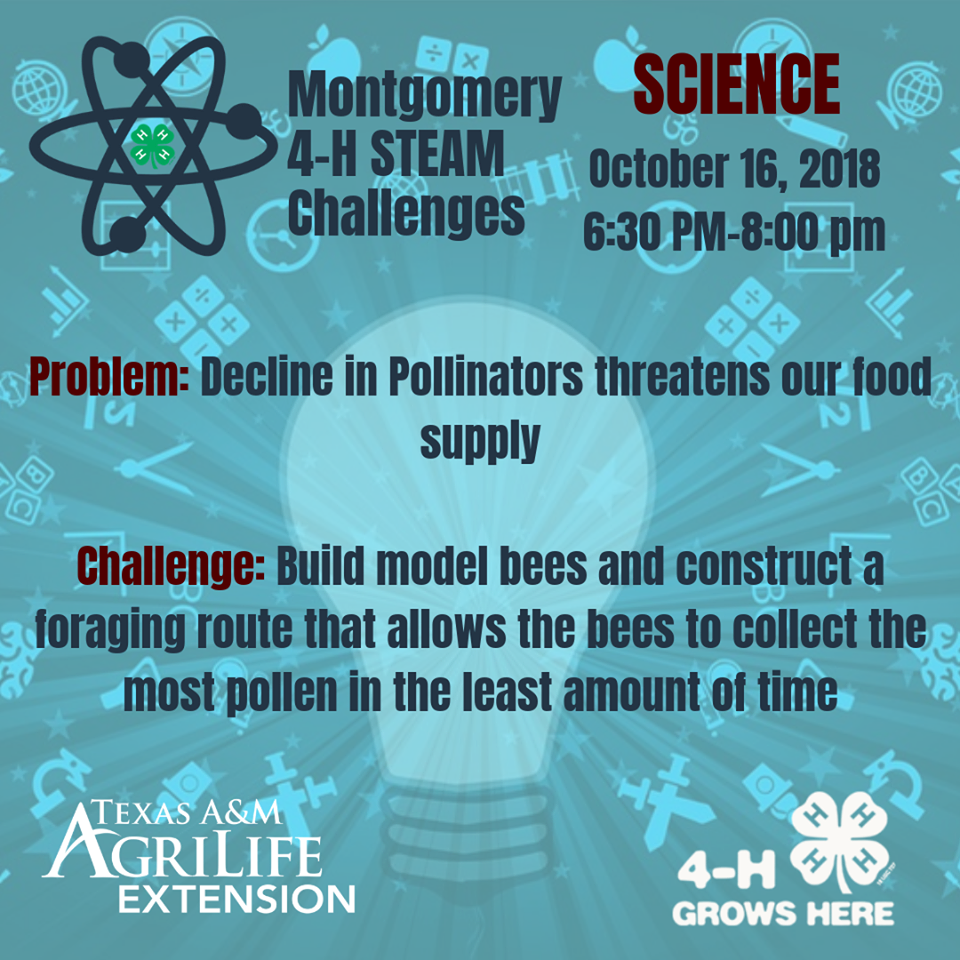 4 Science Challenge _ 25 Fun and Easy Fourth Grade STEM Challenges – ZGZXPV