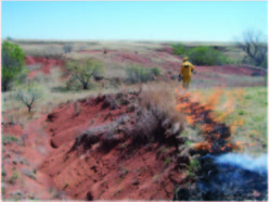 Firebreaks - Texas Prescribed Burn Handbook