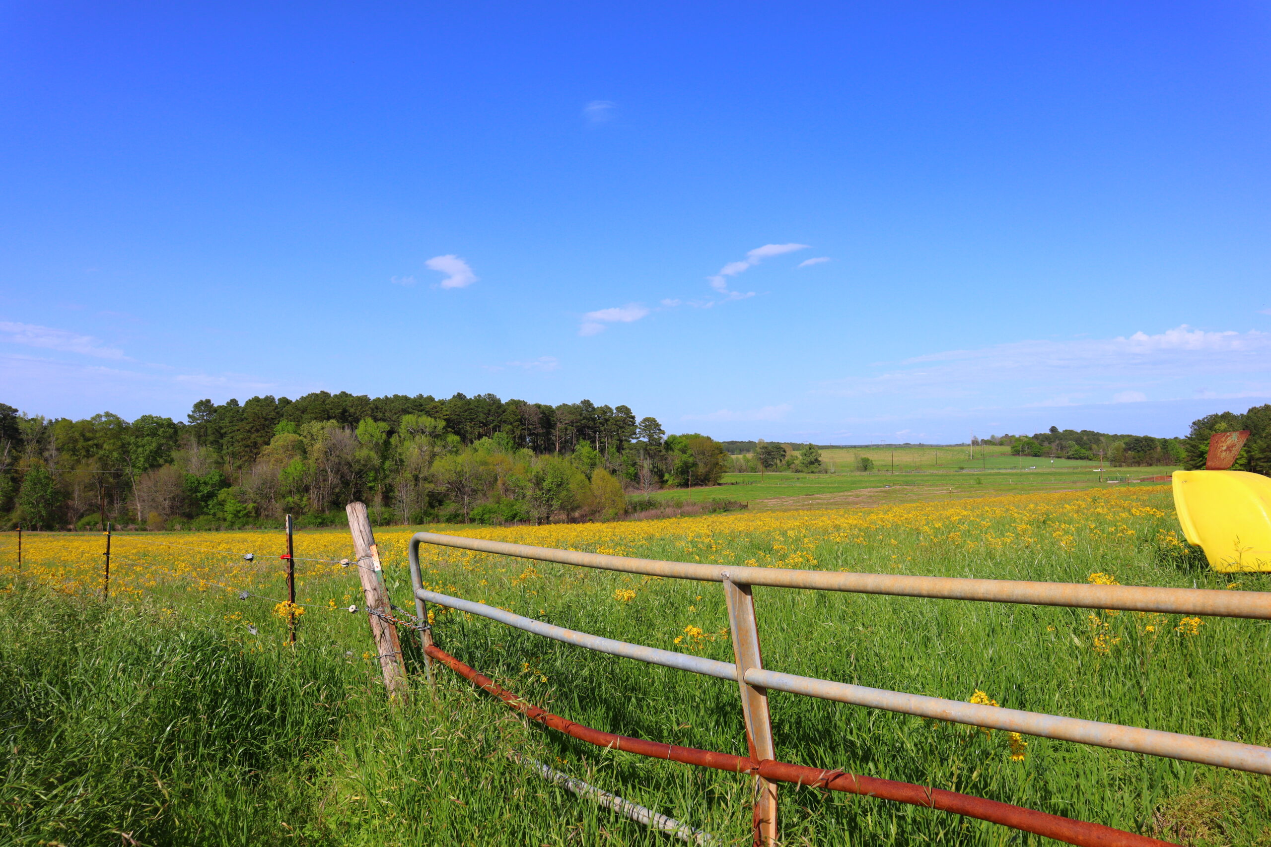 Southern Pasture & Forage Crop Improvement Conference | Teaching ...