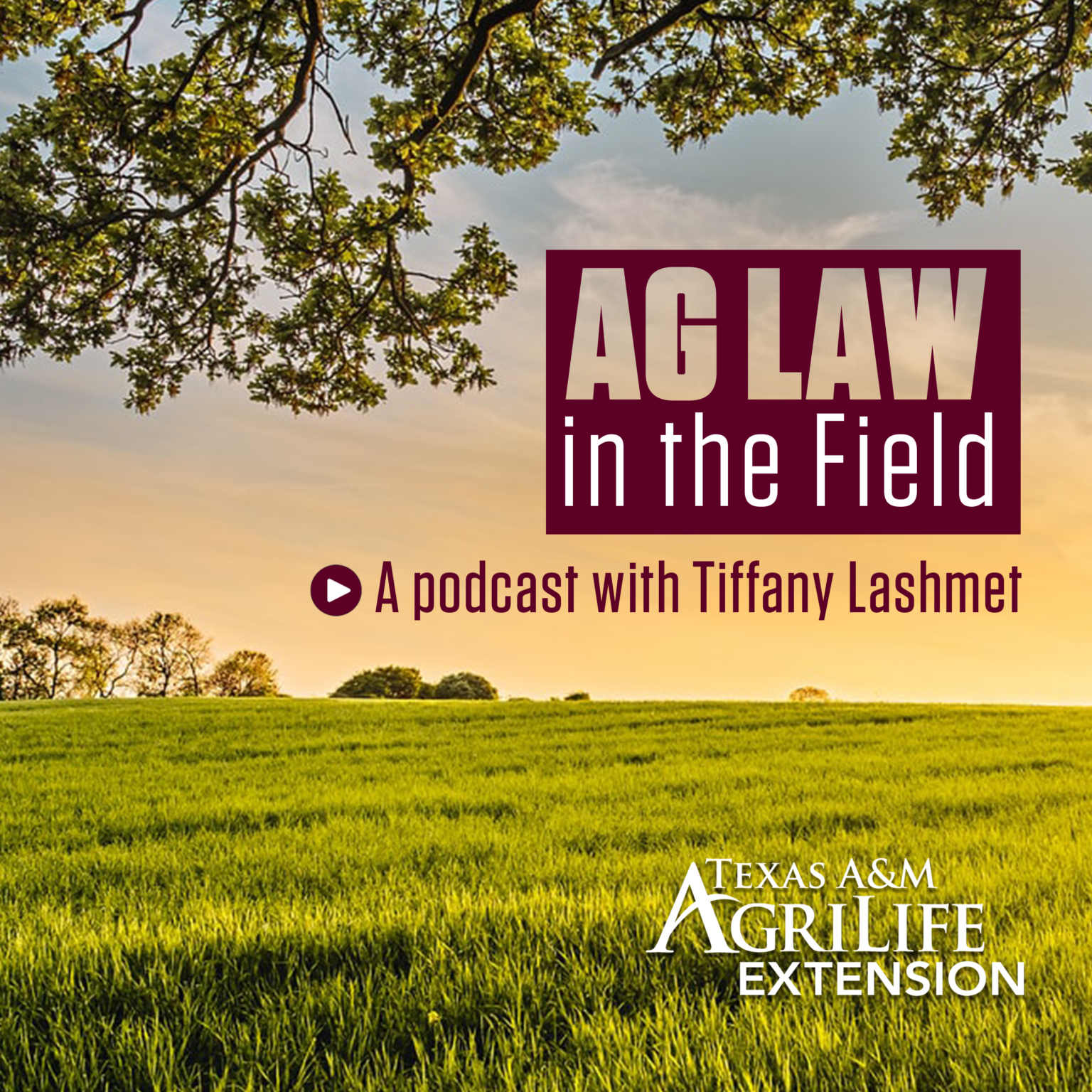Texas Right to Farm Statute Overview - Texas Agriculture Law
