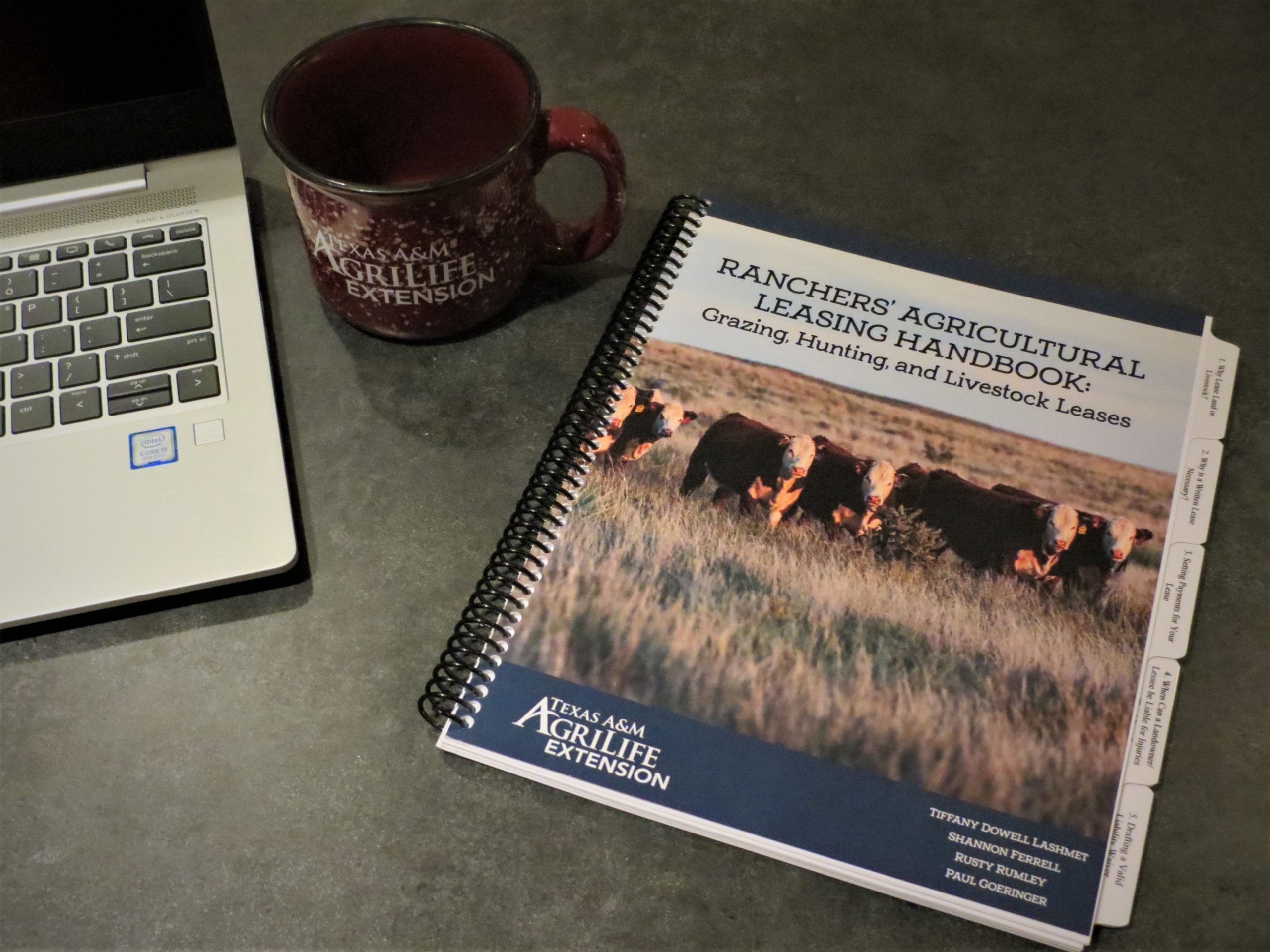 Ranchers' Agricultural Leasing Handbook Available - Texas Agriculture Law