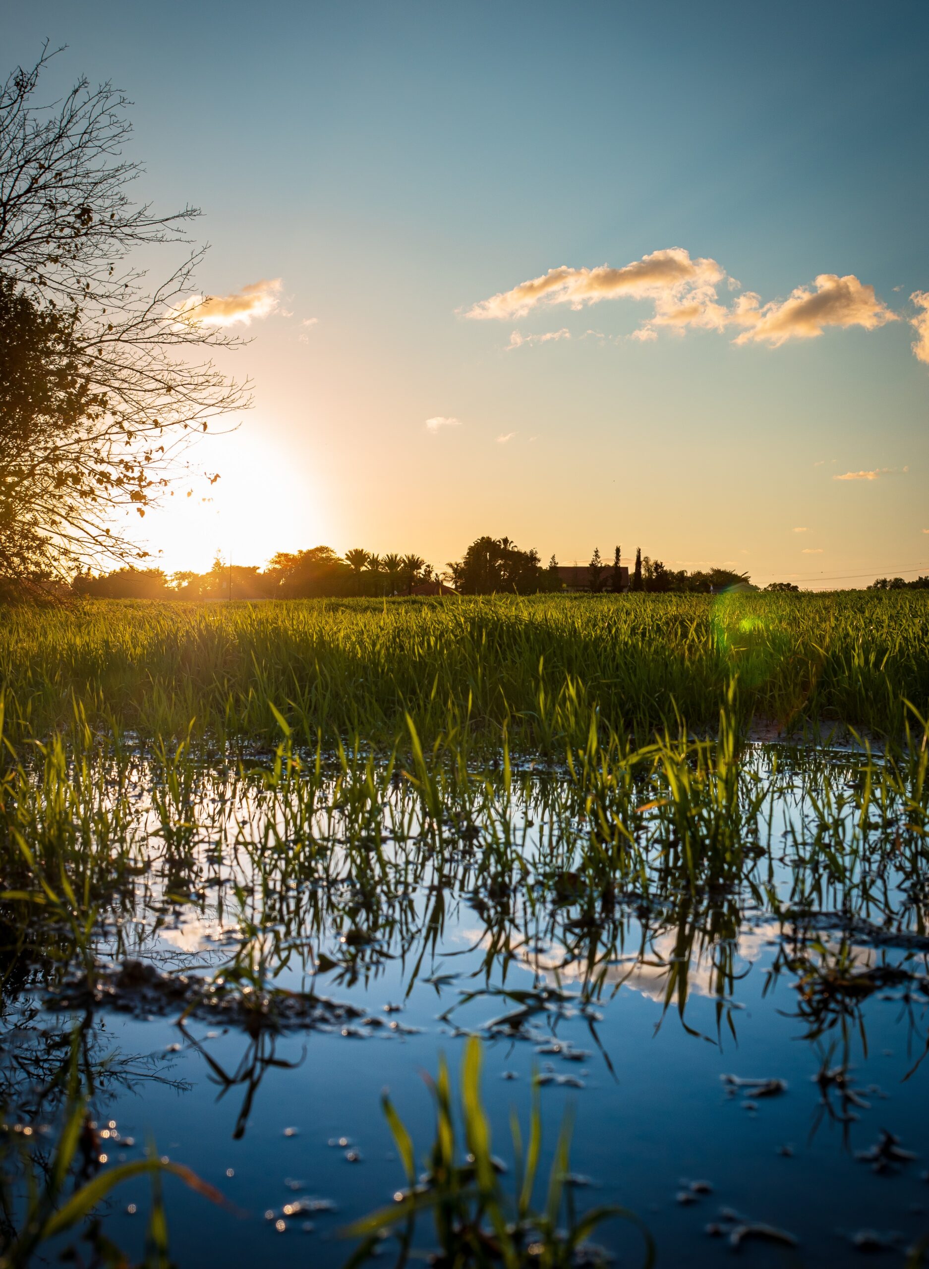 EPA Releases Revised WOTUS Definition - Texas Agriculture Law