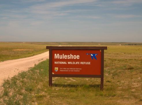 June 28, 2024 Weekly Round Up - Texas Agriculture Law