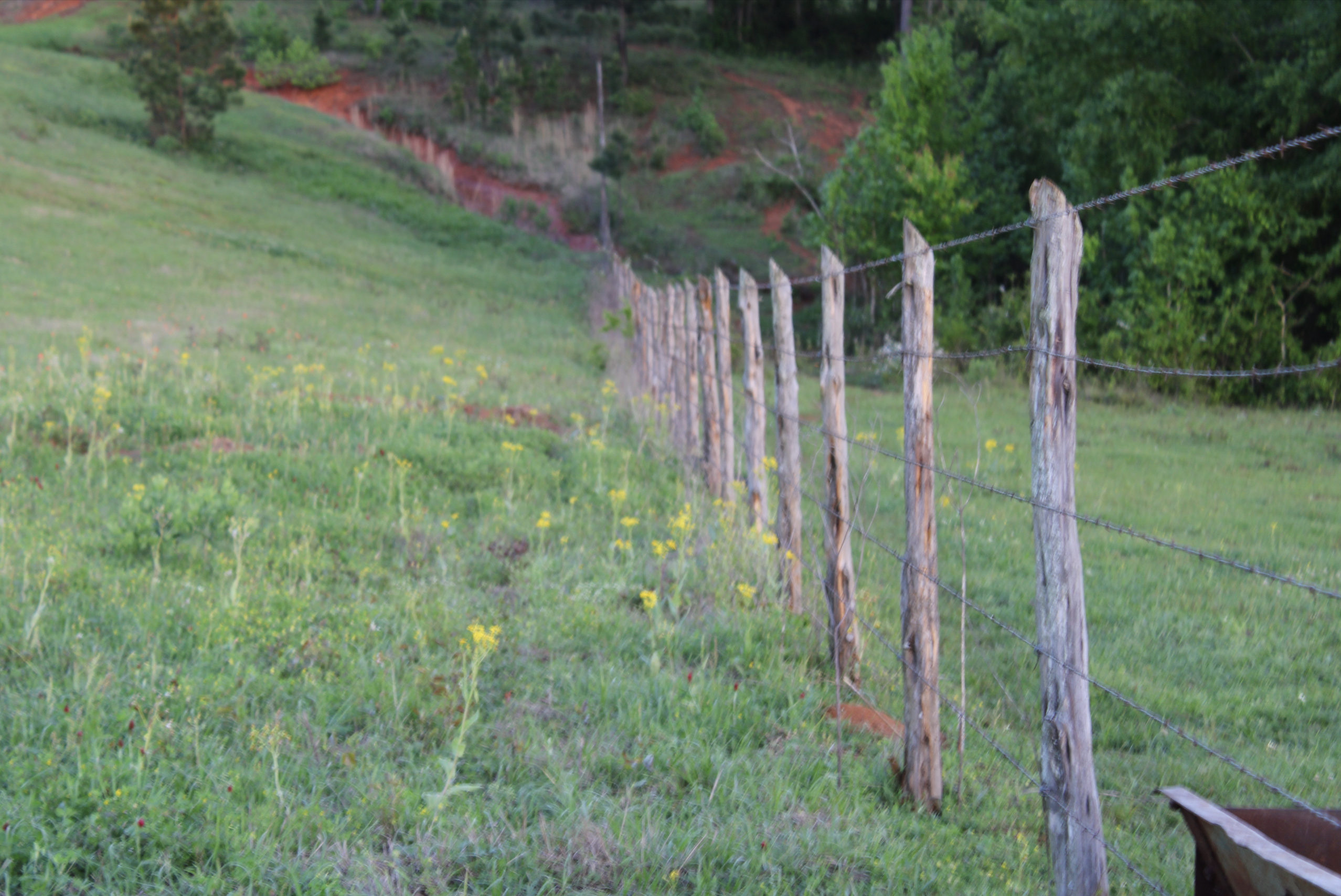 New Resource Available: Landlocked Property Law in Texas Fact Sheet ...