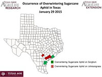 Texas pic | Texas Row Crops Newsletter