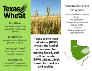 Texas Wheat - Texas Row Crops Newsletter