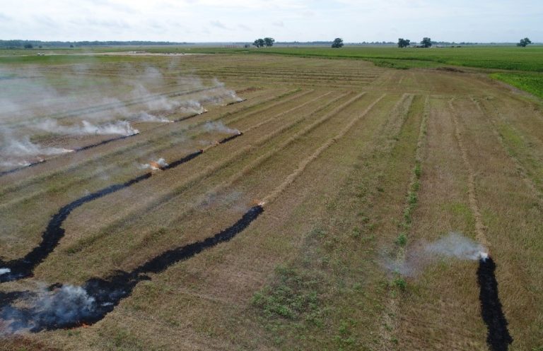 Harvest Weed Seed Control Tactics Can Aid Herbicide Programs in ...