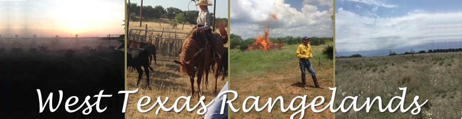 West Texas Rangelands | We hope to provide a variety of information ...