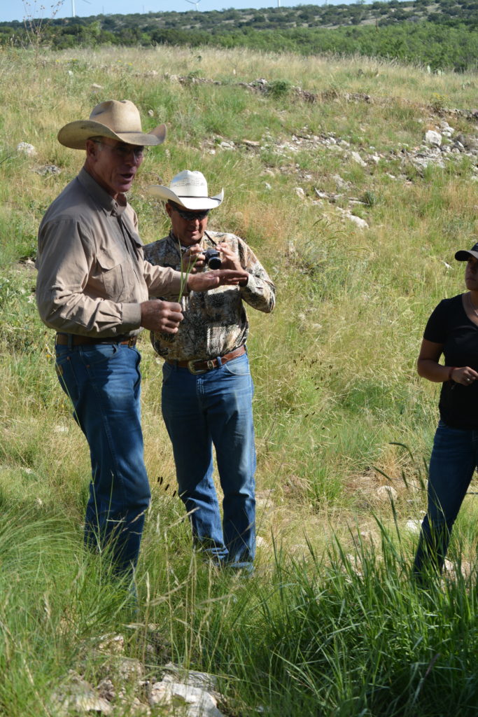 Why I Ranch... - West Texas Rangelands