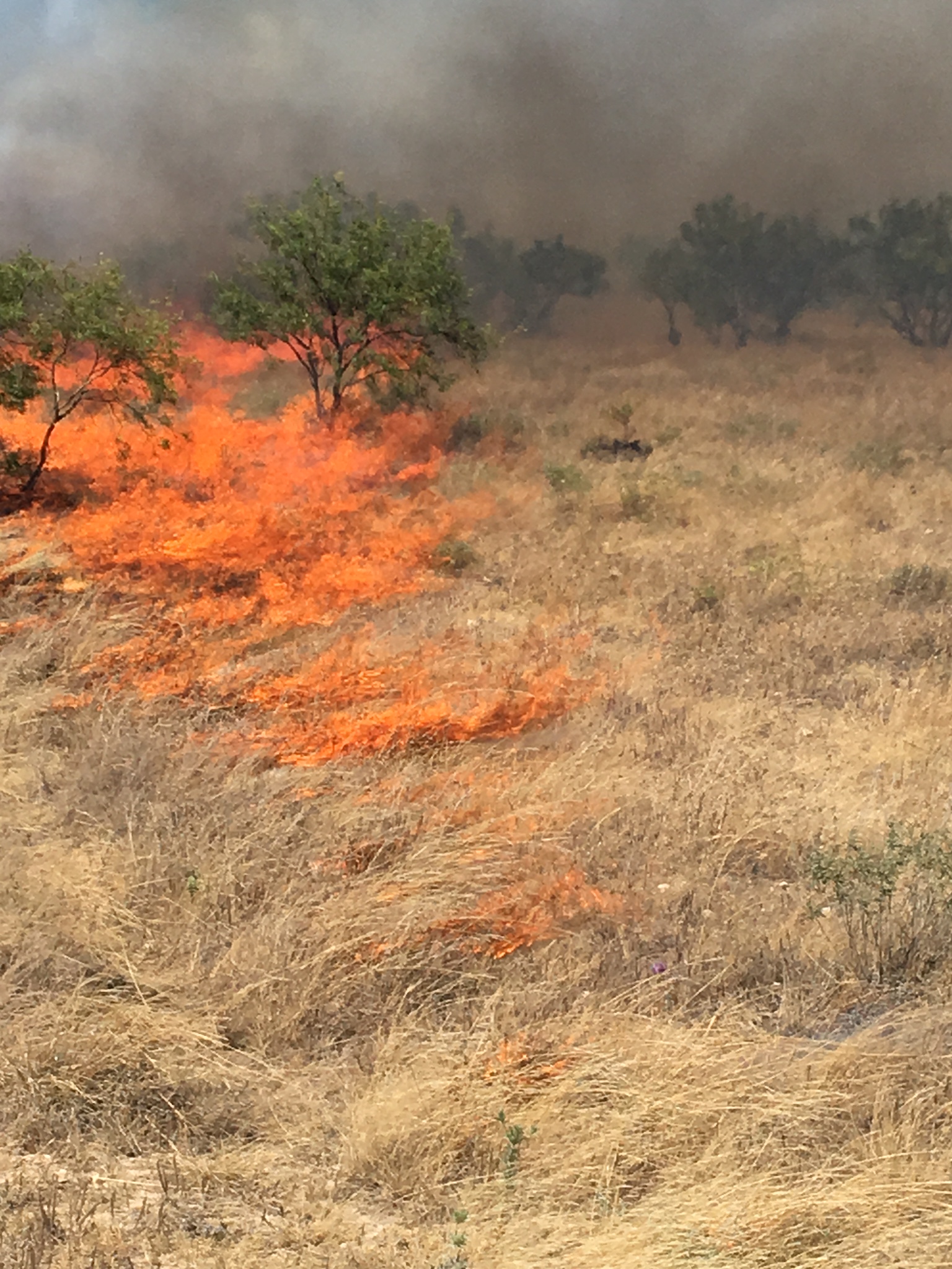 Outside the Fire with Jeff Goodwin - West Texas Rangelands