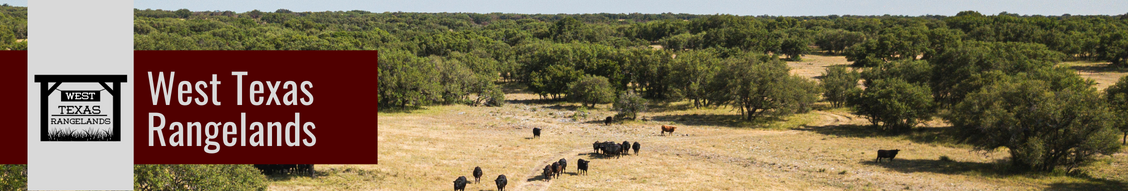 About & Contact - West Texas Rangelands