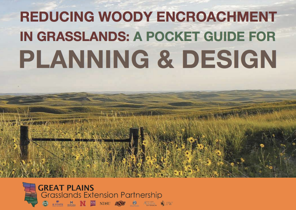 Reducing Woody Encroachment in Grasslands: A Pocket Guide for Planning ...
