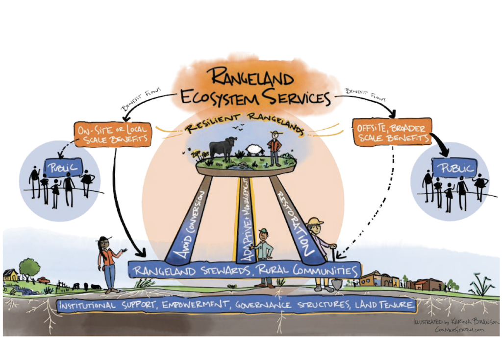 SRM Multidisciplinary Rangeland Ecosystem Services Report - West Texas ...