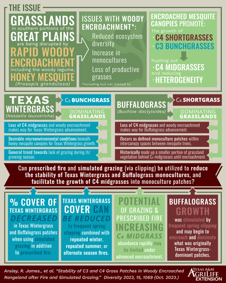 West Texas Rangelands – We hope to provide a variety of information ...