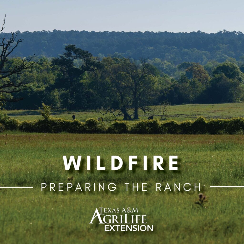 West Texas Rangelands - We hope to provide a variety of science-based ...
