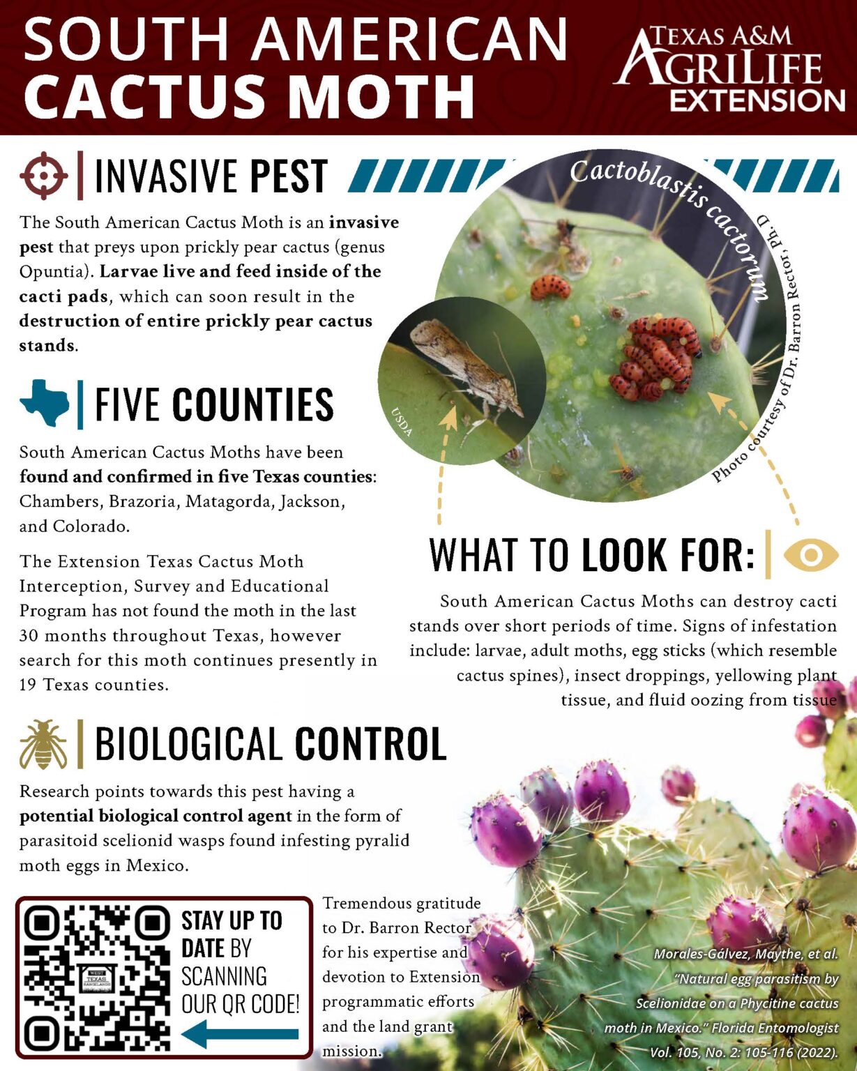 West Texas Rangelands - We hope to provide a variety of science-based ...