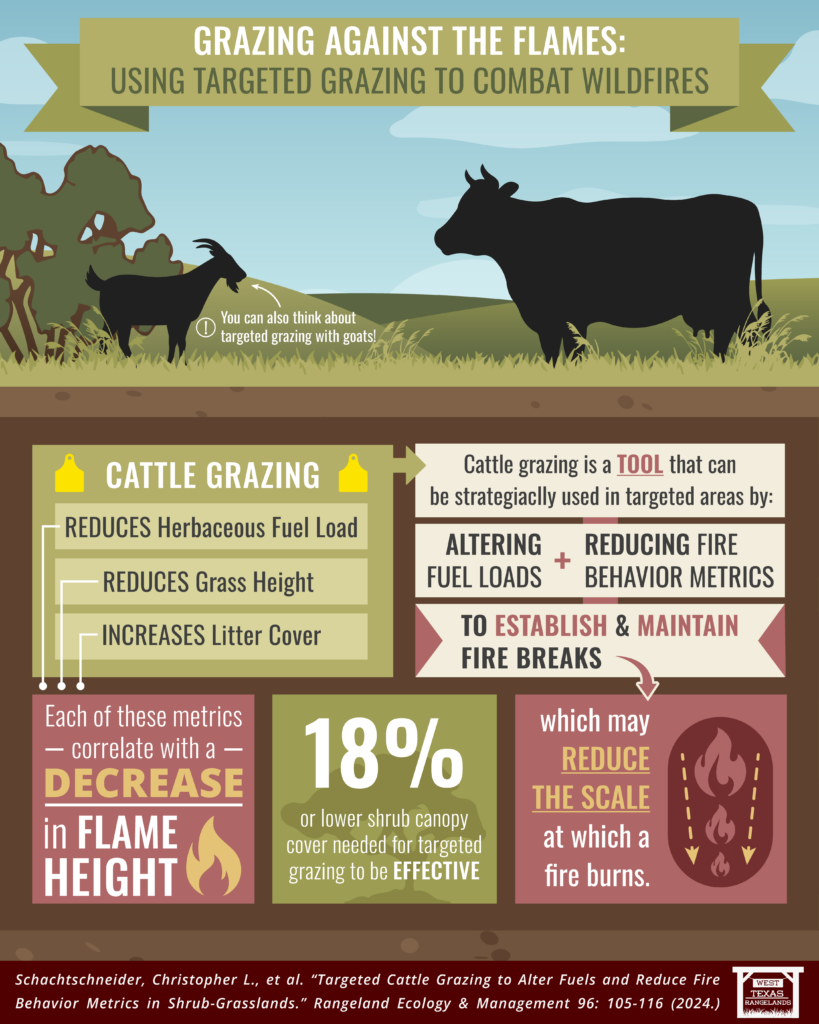 Grazing Against the Flames: Using Targeted Grazing to Combat Wildfires - West Texas Rangelands