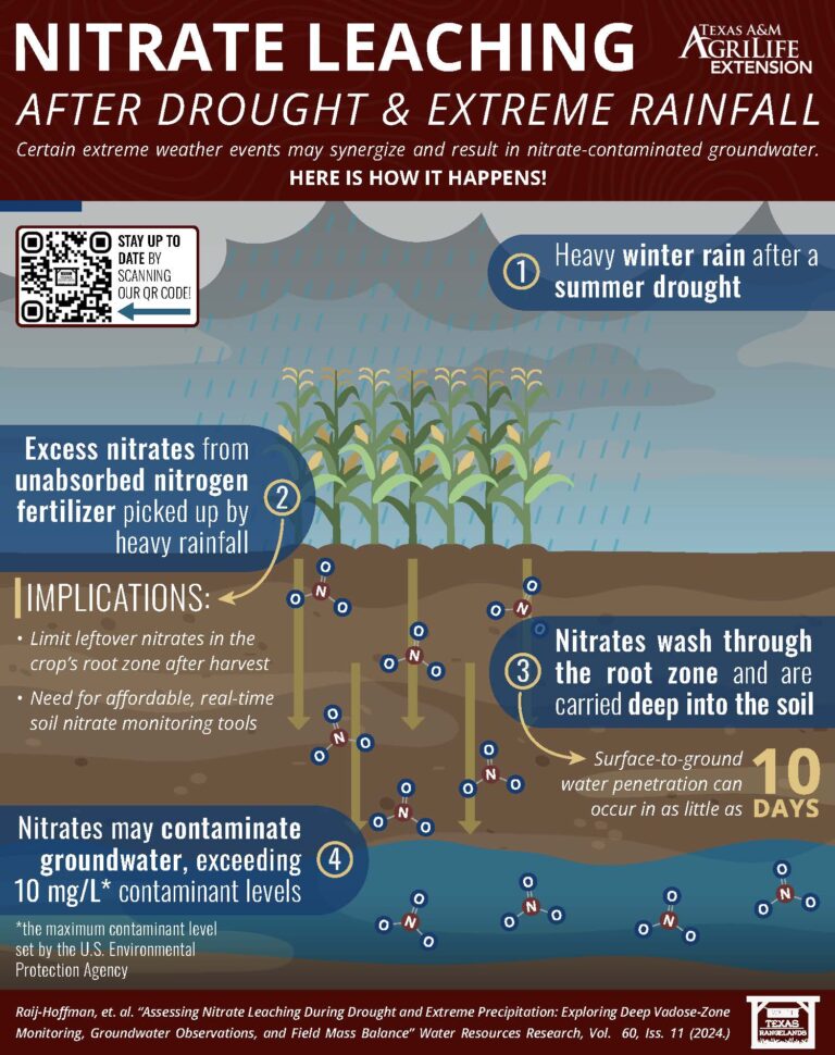 Understanding Nitrate Leaching: The Hidden Threat After Extreme Weather ...