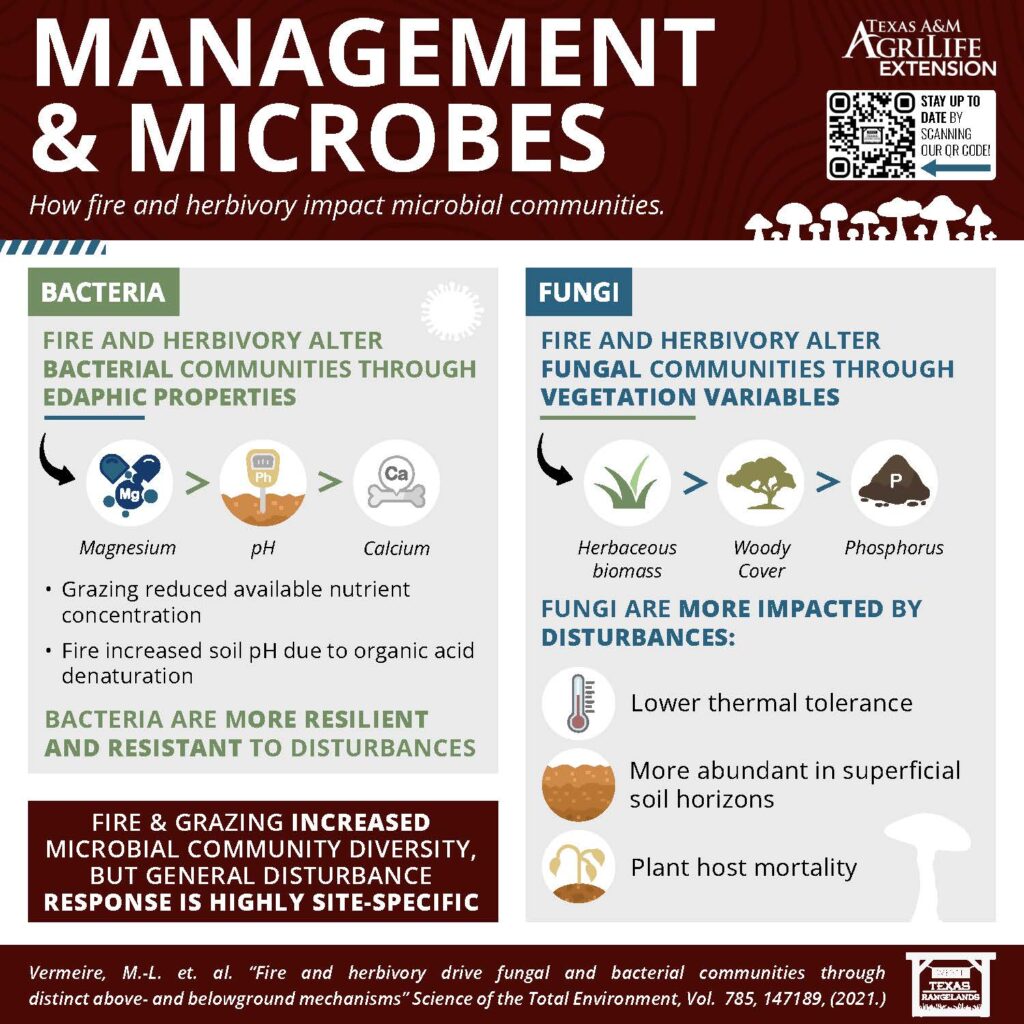 Management & Microbes: How Fire and Grazing Shape Soil Life Below the ...