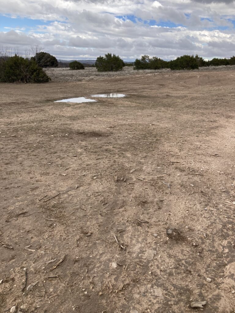 West Texas Rangelands - We hope to provide a variety of science-based ...