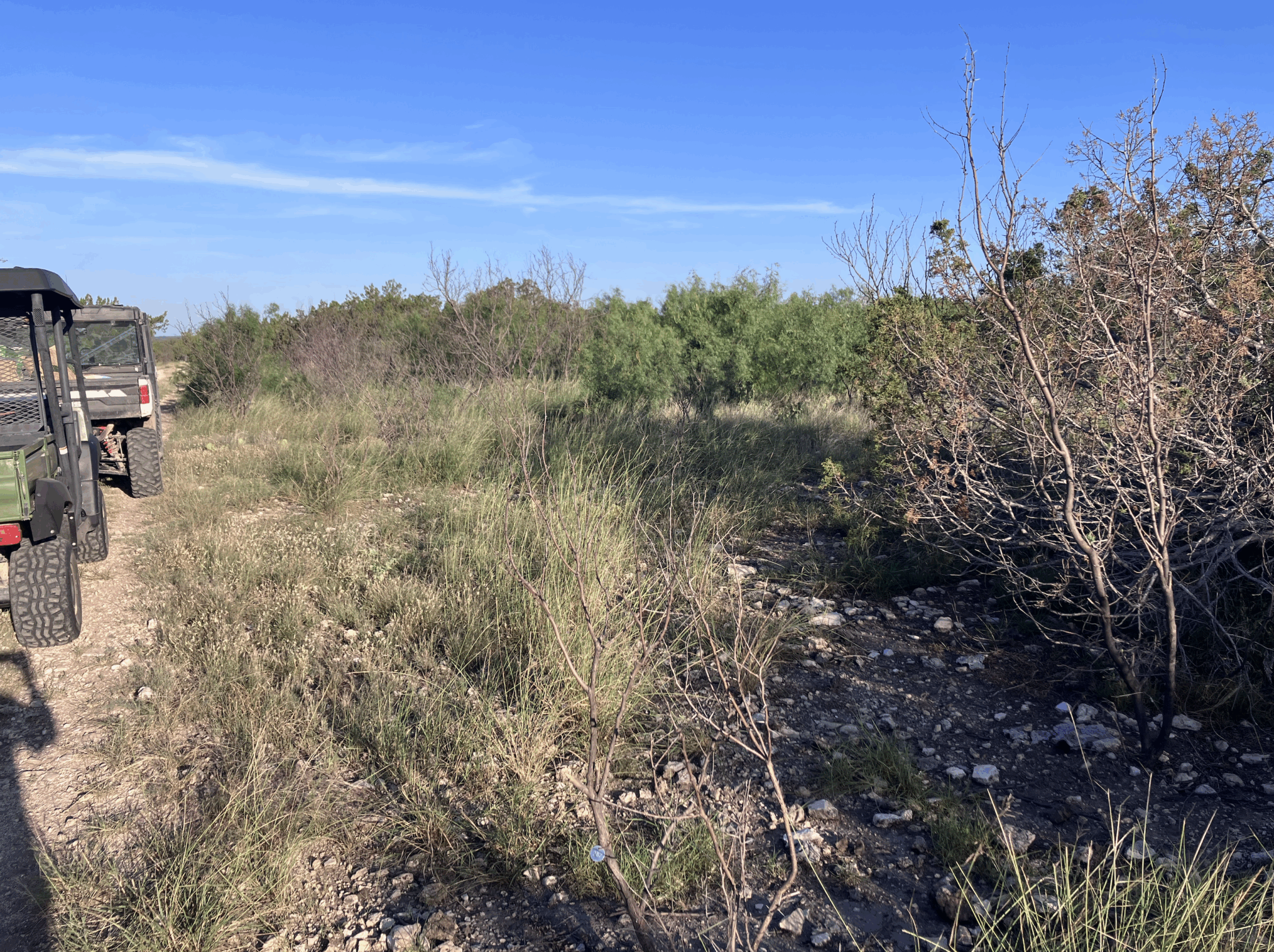 West Texas Rangelands - We hope to provide a variety of science-based ...