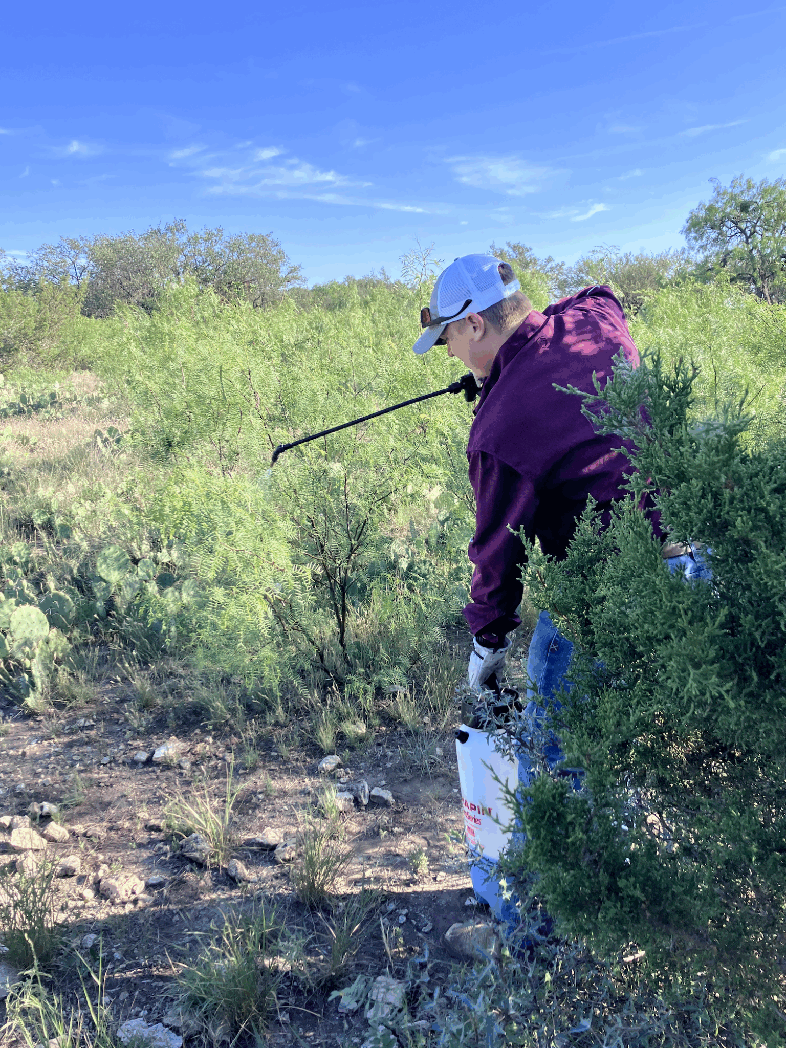 West Texas Rangelands - We hope to provide a variety of science-based ...