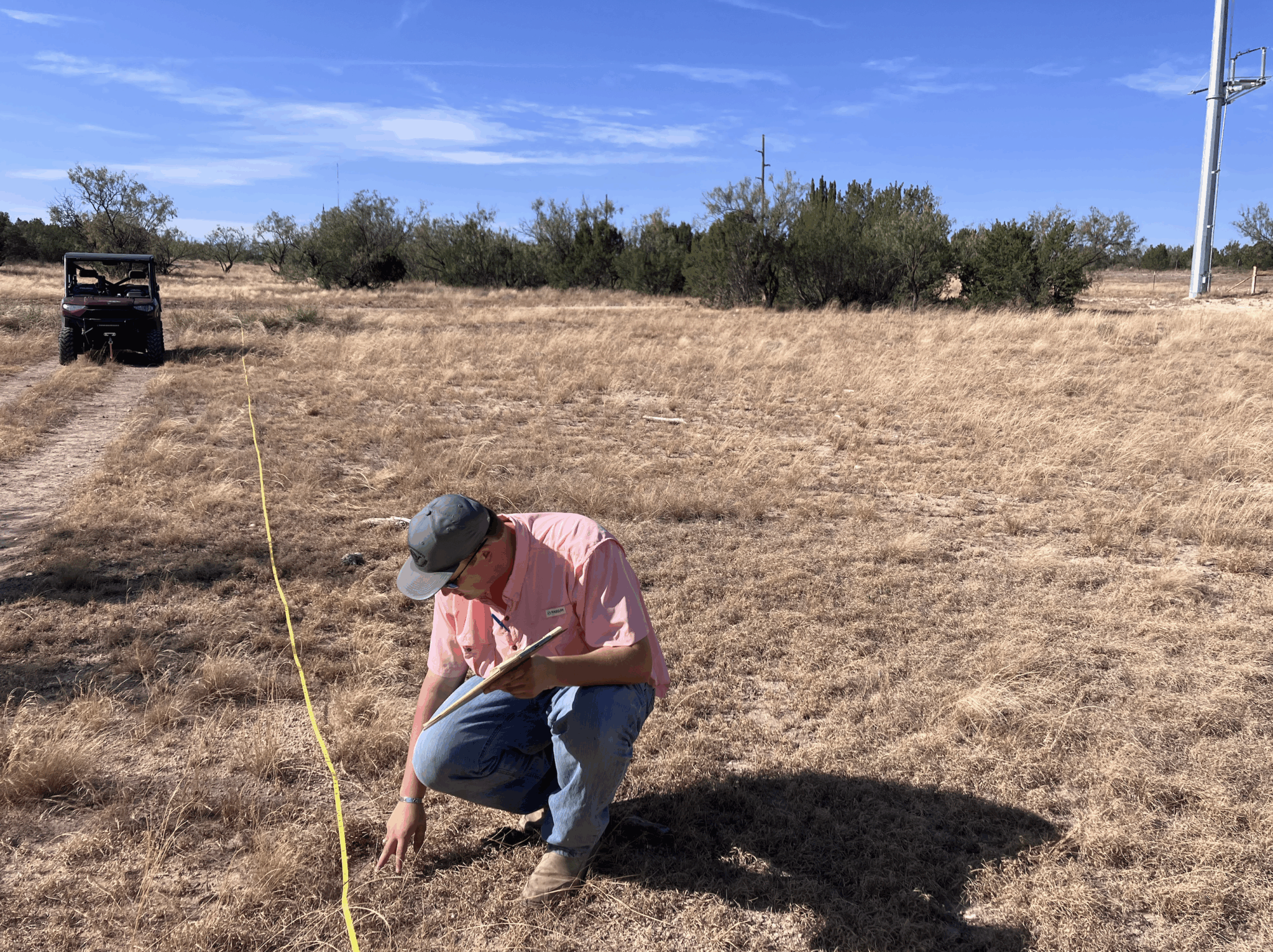 West Texas Rangelands - We hope to provide a variety of science-based ...