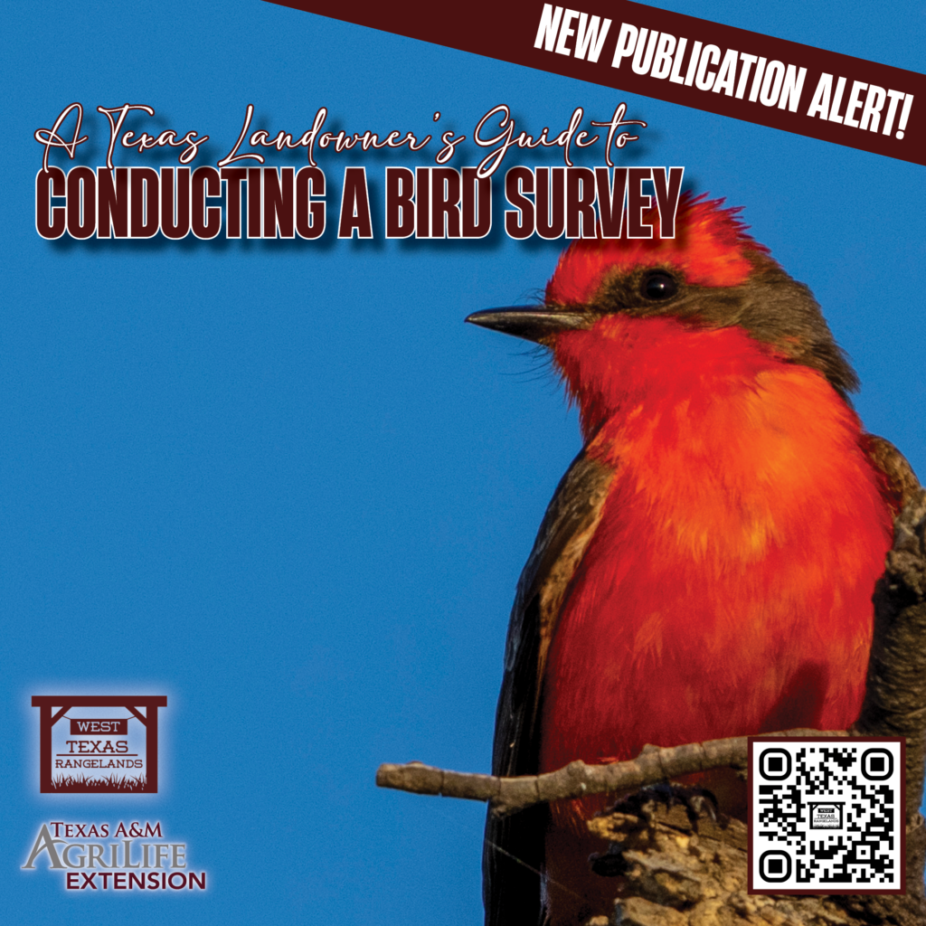 Using Birds to Read Rangeland Health - West Texas Rangelands