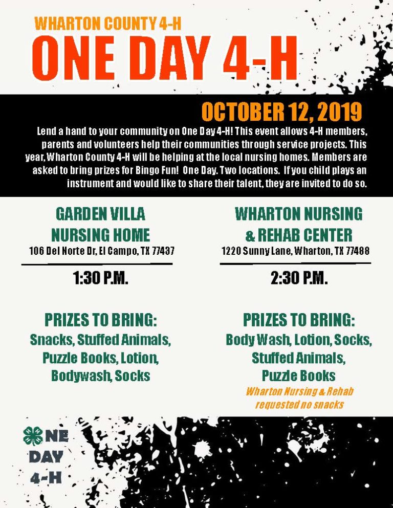 One Day 4-H