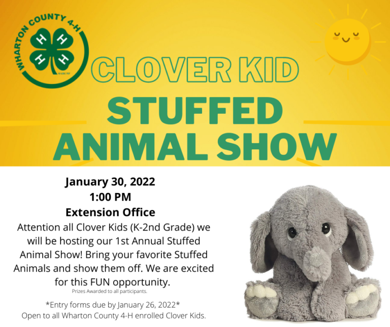Clover Kids Stuffed Animal Show - Wharton County 4-H