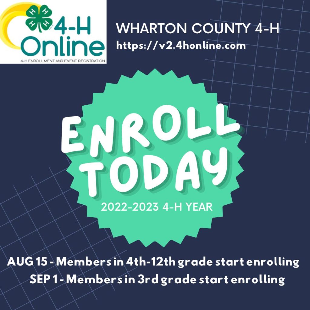 4-H Enrollment Open for Grades 4 - 12 - Wharton County 4-H
